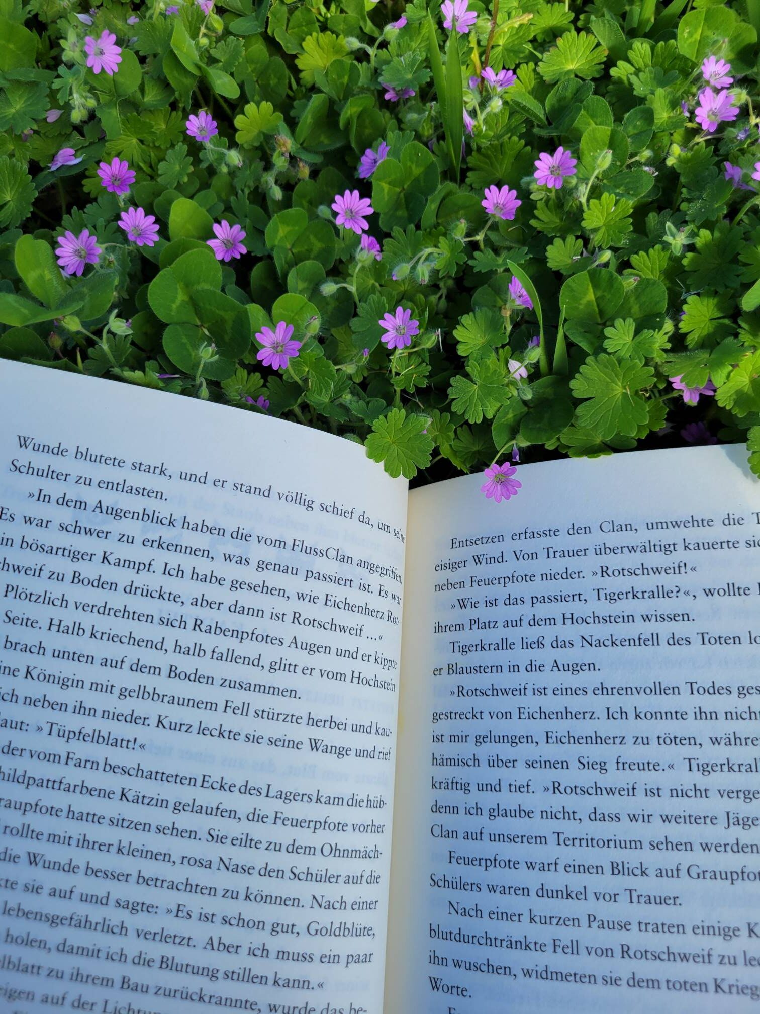 About Me – Natural Language Journey