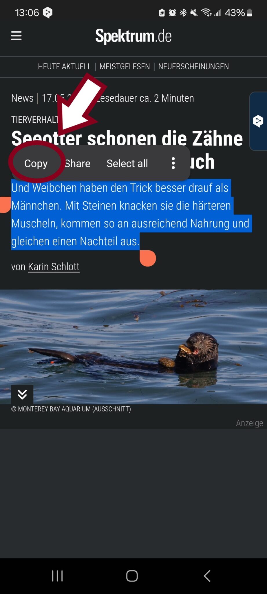 How to Make Reading German Easy - Natural Language Journey